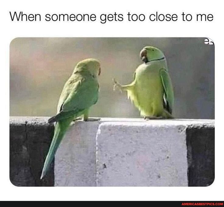 Me in public....dont like people standing behind me in queues 🖕 - When ...