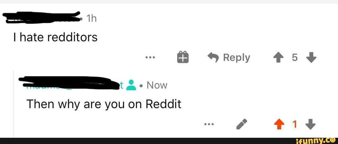 Th I hate redditors Reply Now Then why are you on Reddit - iFunny