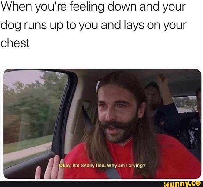 Yurp memes. Best Collection of funny Yurp pictures on iFunny