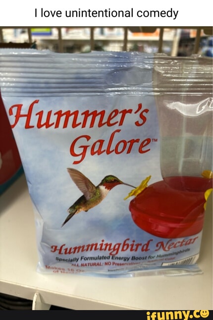 Hummingbird memes. Best Collection of funny Hummingbird pictures on iFunny