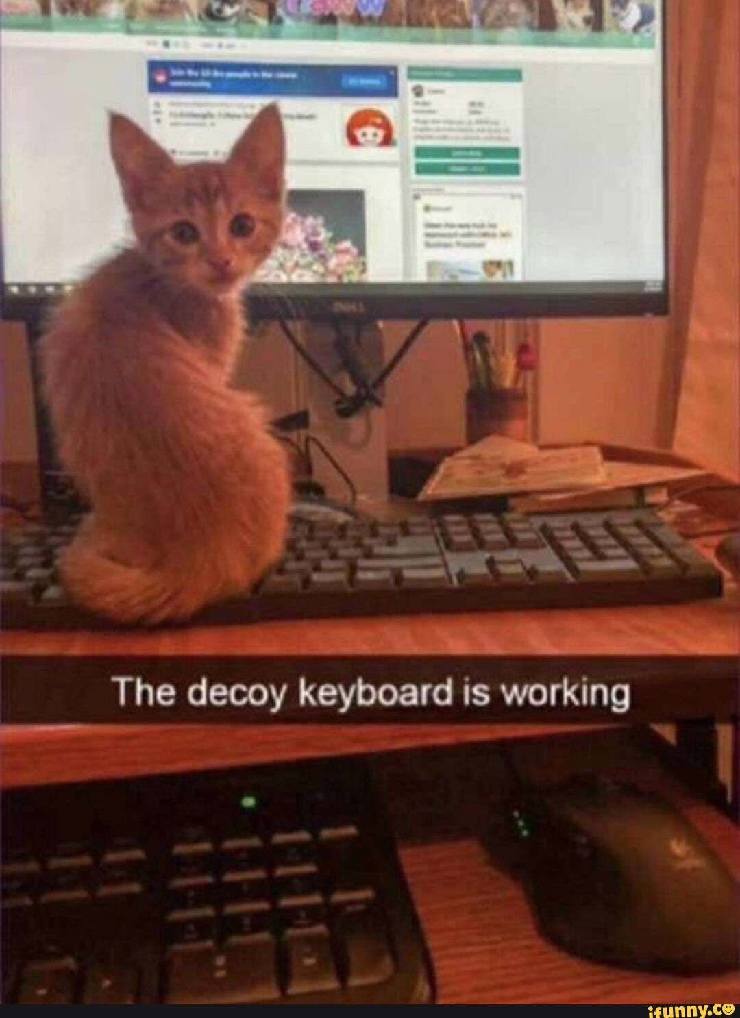 The decoy keyboard is working - iFunny