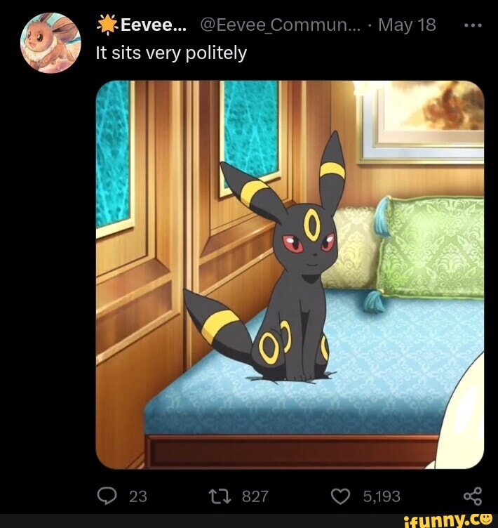 Eevee... @Eevee Commun... May 18 It sits very politely 5,193 - iFunny