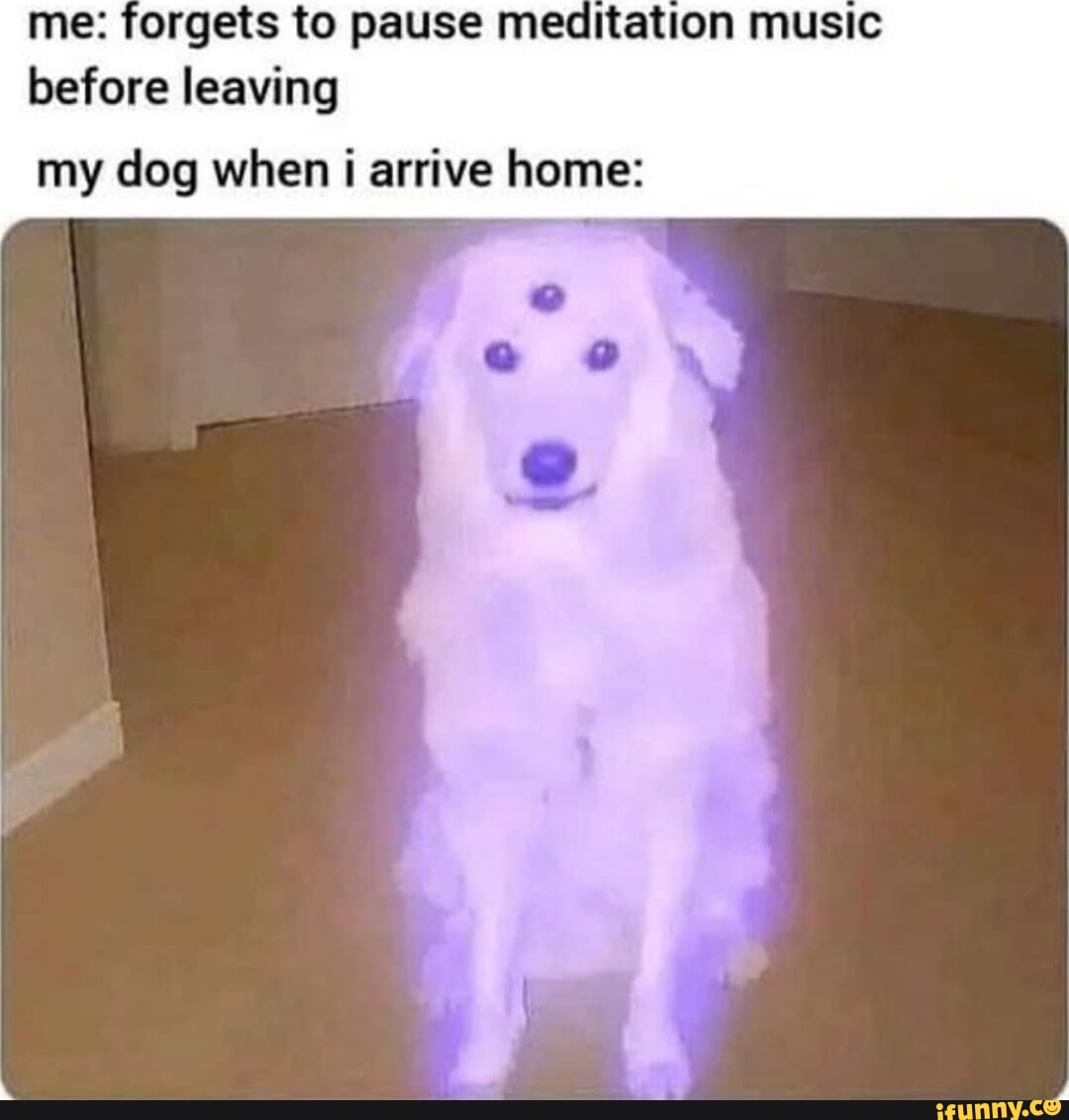 Pause memes. Best Collection of funny Pause pictures on iFunny