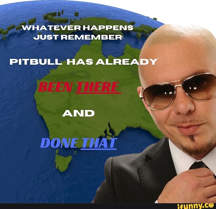 Pitbull memes. Best Collection of funny Pitbull pictures on iFunny