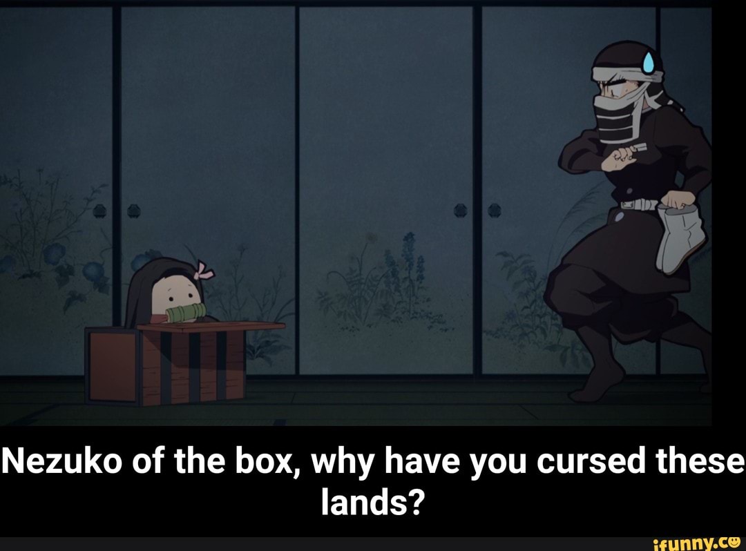 Nezuko of the box, why have you cursed these lands? - iFunny