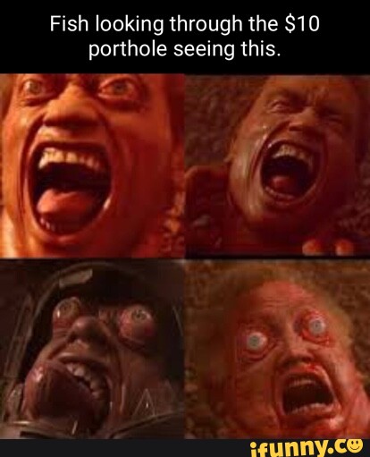 Fish looking through the $10 porthole seeing this. - iFunny