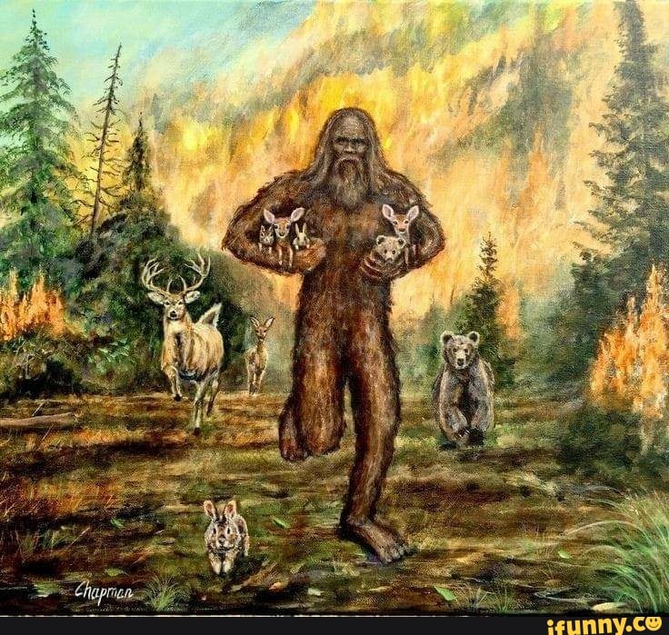 Chapri memes. Best Collection of funny Chapri pictures on iFunny
