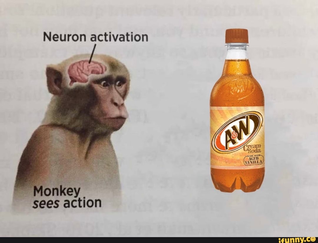 Neuron activation Monkey. action - iFunny