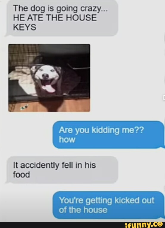 The dog is going crazy... HE ATE THE HOUSE KEYS Are you kidding me ...