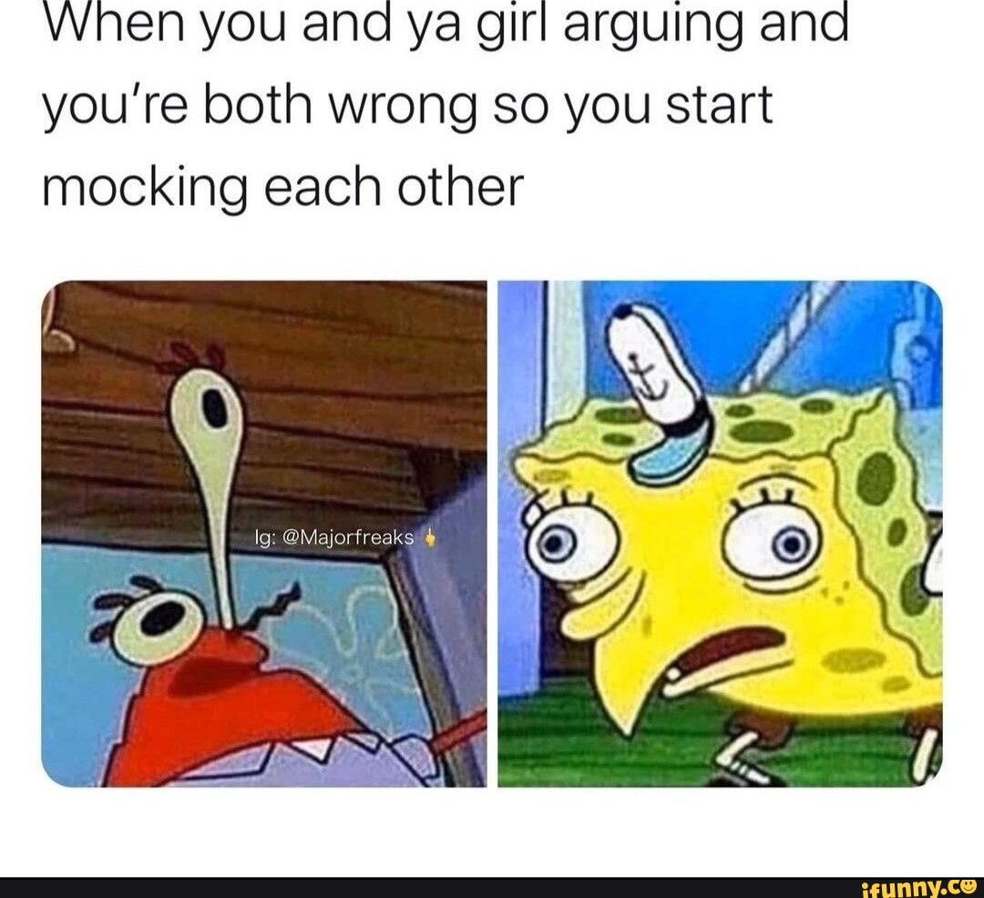 When you and ya girl arguing and you're both wrong so you start mocking ...