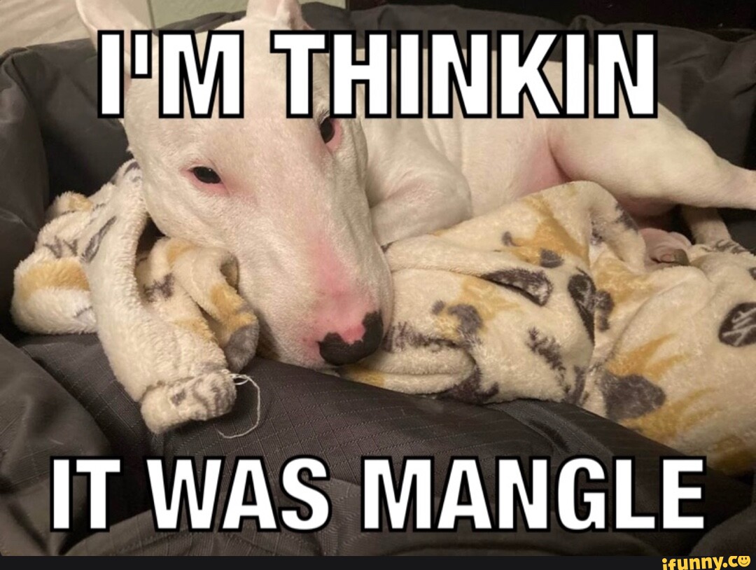 Mangle memes. Best Collection of funny Mangle pictures on iFunny