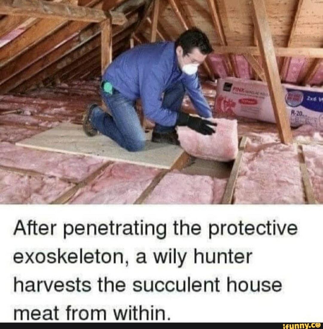 Exoskeleton memes. Best Collection of funny Exoskeleton pictures on iFunny