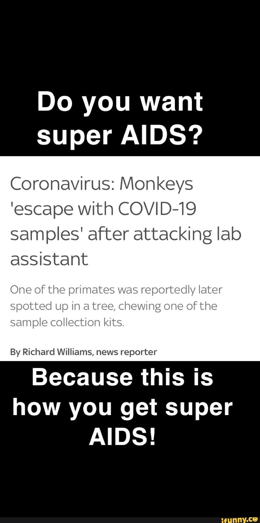 Do you want super AIDS? Coronavirus: Monkeys 'escape with COVID-19 ...