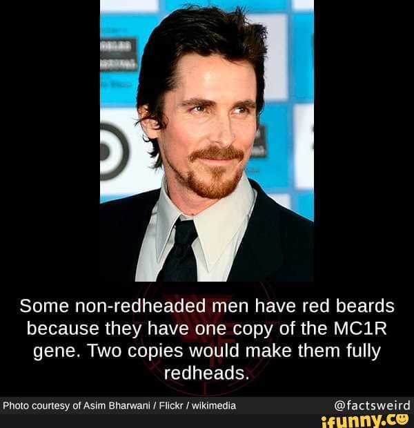 Some non-redheaded men have red beards because they have one copy of ...