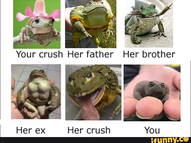 Frogot memes. Best Collection of funny Frogot pictures on iFunny