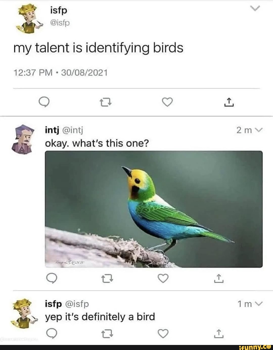 Isfp memes. Best Collection of funny Isfp pictures on iFunny