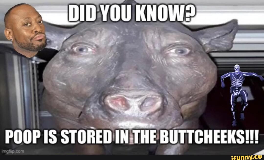 JID YOU KNOW POOP IS STORED IN THE BUTTCHEEKS!!! - iFunny