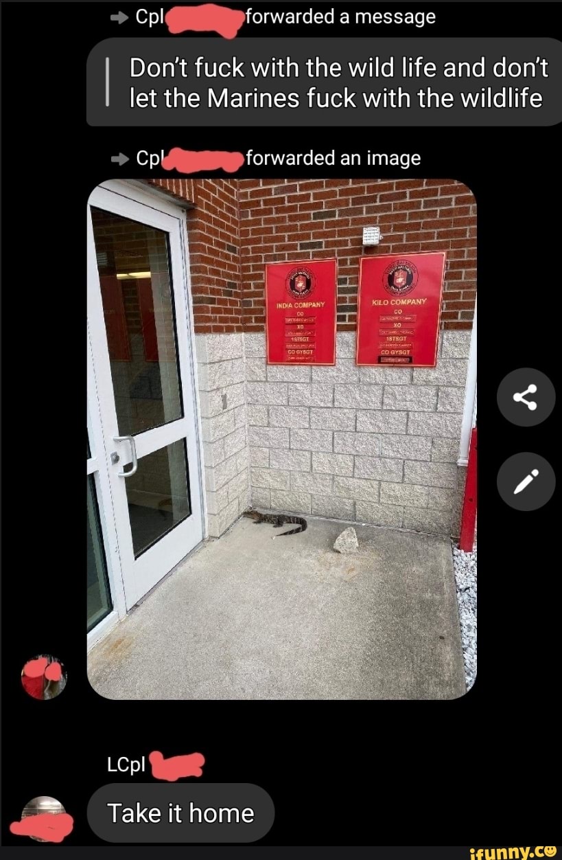 Lcpl memes. Best Collection of funny Lcpl pictures on iFunny