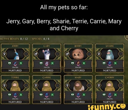 All my pets so far: Jerry, Gary, Berry, Sharie, Terrie, Carrie, Mary ...