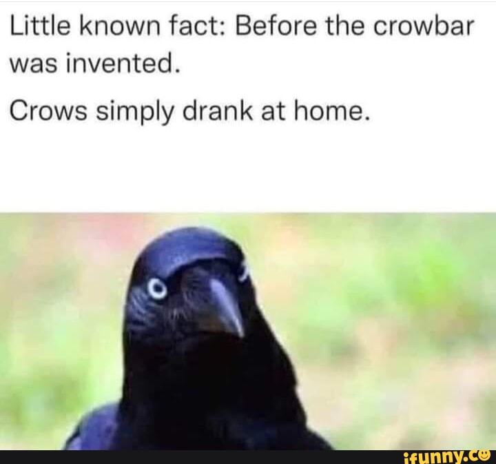 Crows memes. Best Collection of funny Crows pictures on iFunny