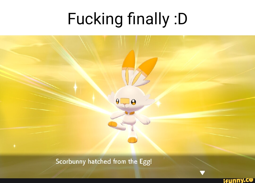 Scorbunny memes. Best Collection of funny Scorbunny pictures on iFunny