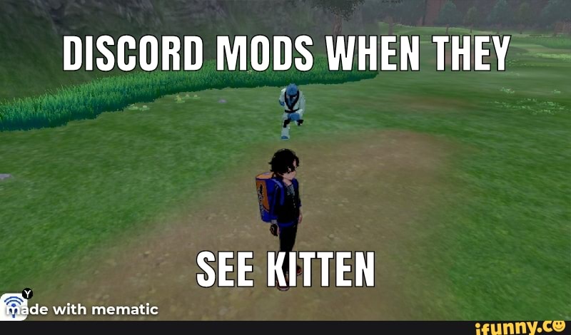 DISCORD MODS WHEN THEY SEE KITTEN - iFunny