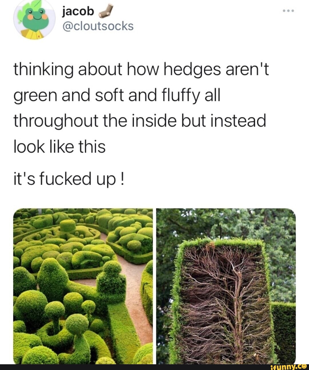 Thinking about how hedges aren't green and soft and fluffy all ...