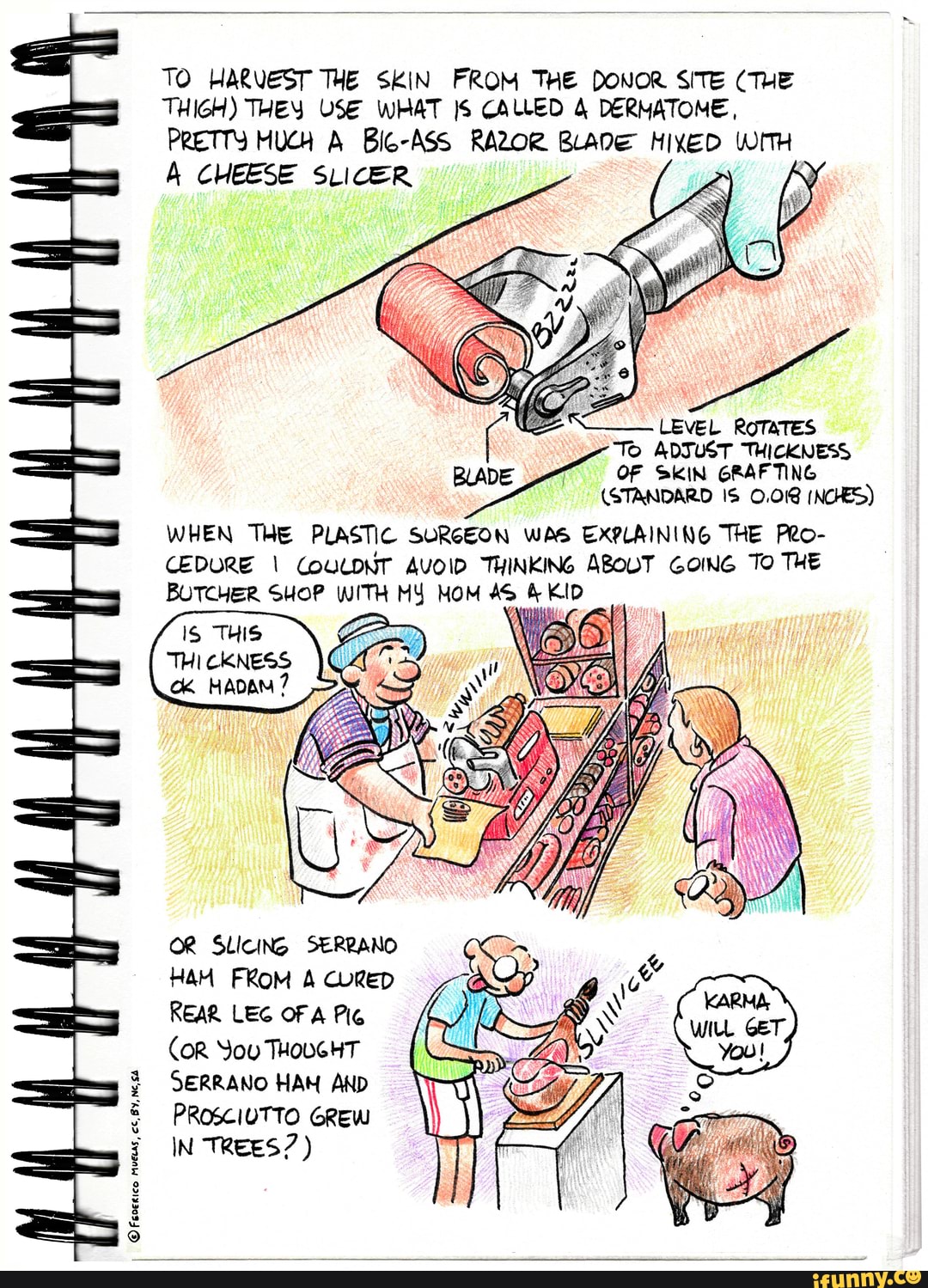 Dermatome memes. Best Collection of funny Dermatome pictures on iFunny