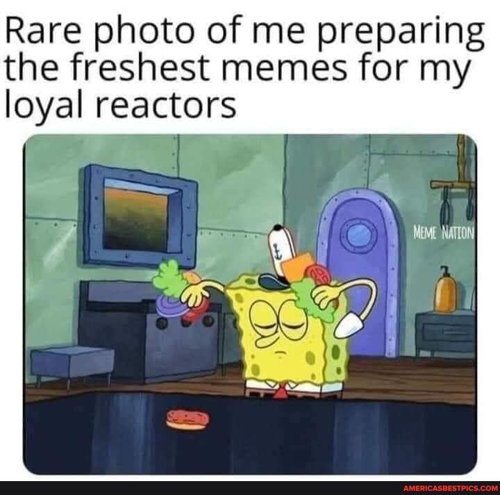 Rare photo of me preparing the freshest memes for my loyal reactors ...