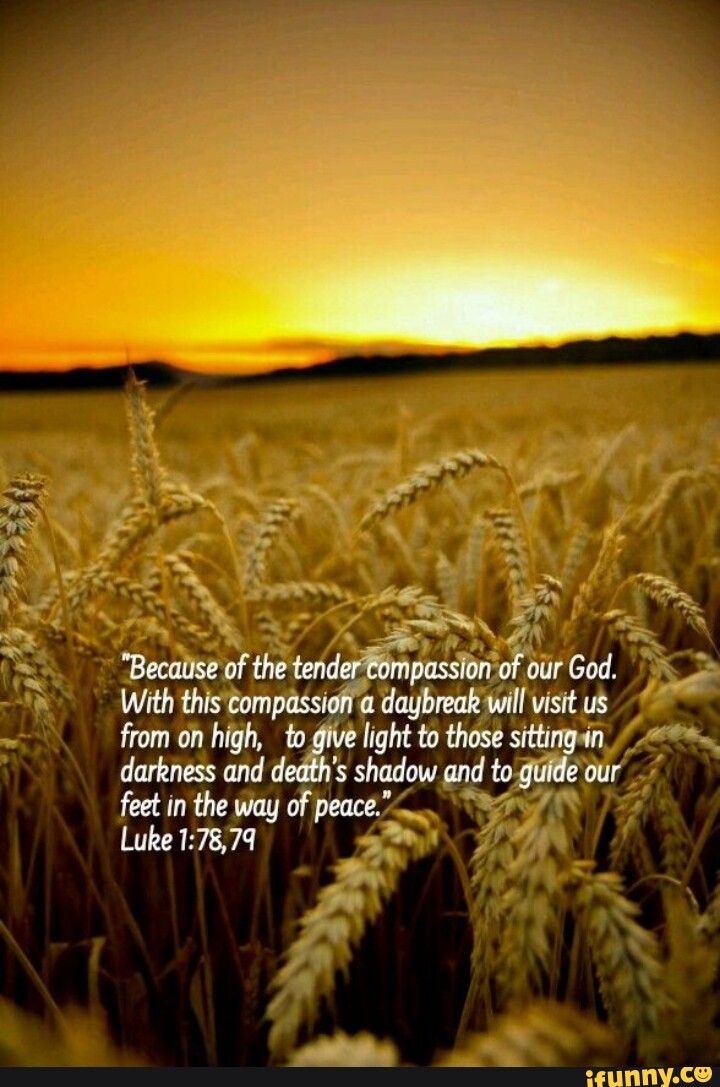 Duse of the tender compa: ten of our God. With this Compassion a ...