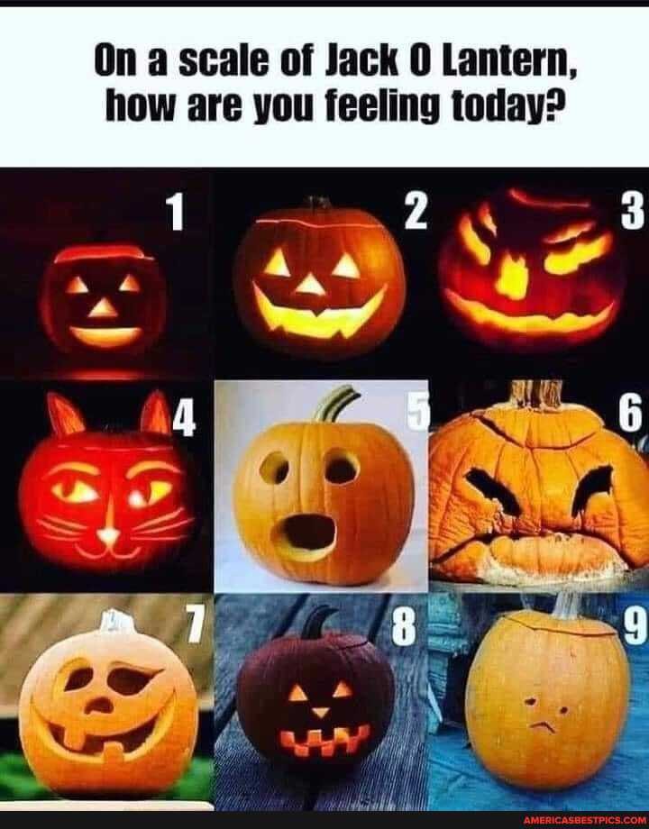On a scale of Jack Lantern, how are you feeling today? - America’s best ...