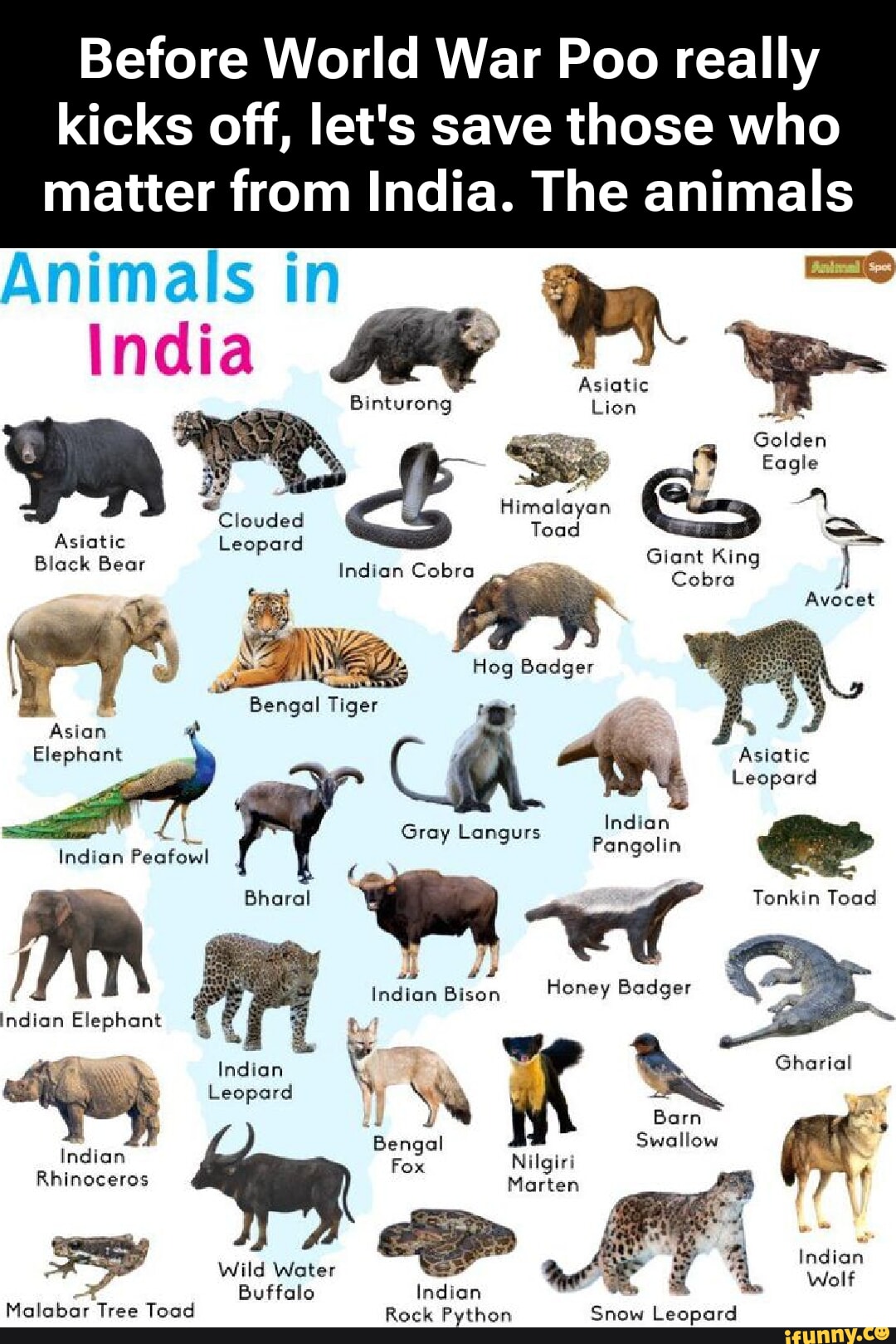 Before World War Poo really kicks off, let's save those who matter from ...