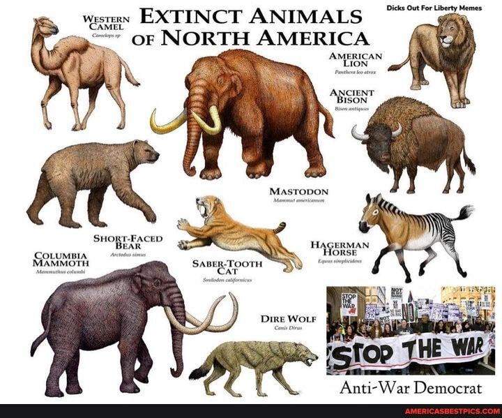 Dicks Out For Liberty Memes, weeres EXTINCT ANIMALS OF NORTH AMERICA ...