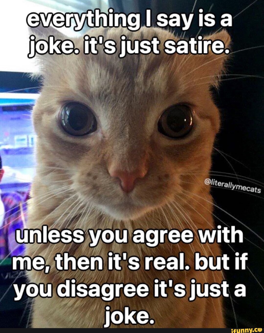 WTW for this image : r/whatstheword