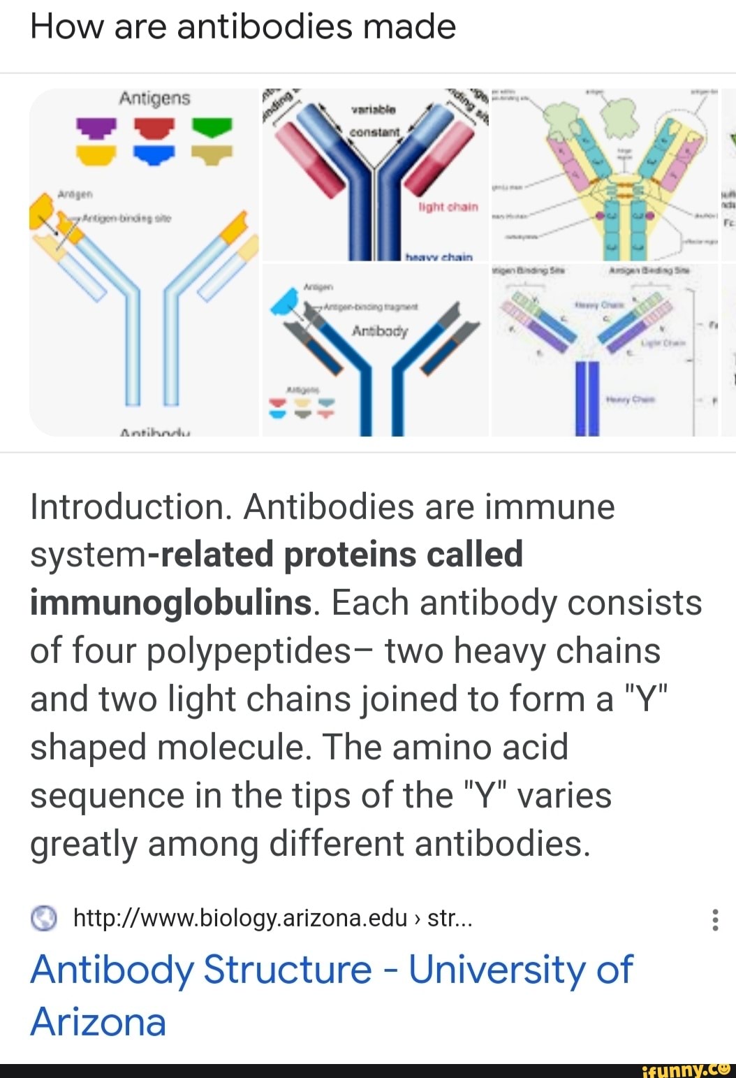 Immunoglobulins memes. Best Collection of funny Immunoglobulins ...