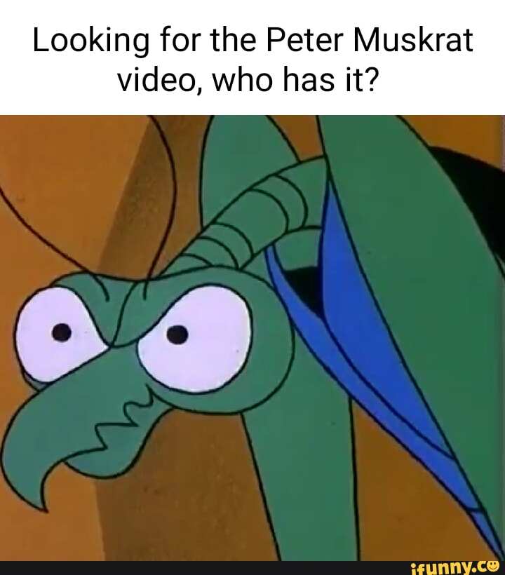 Muskrat memes. Best Collection of funny Muskrat pictures on iFunny