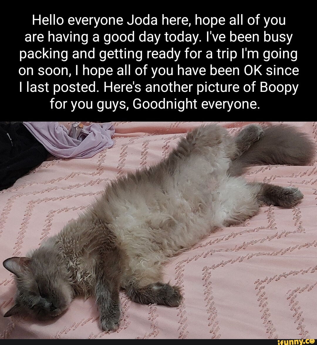 Packing memes. Best Collection of funny Packing pictures on iFunny