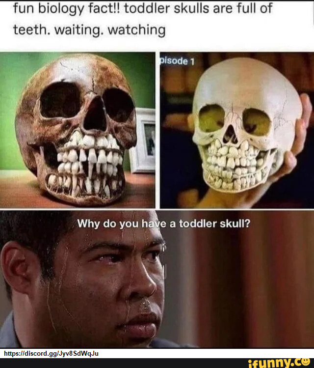 Fun biology fact!! toddler skulls are full of teeth. waiting. watching ...