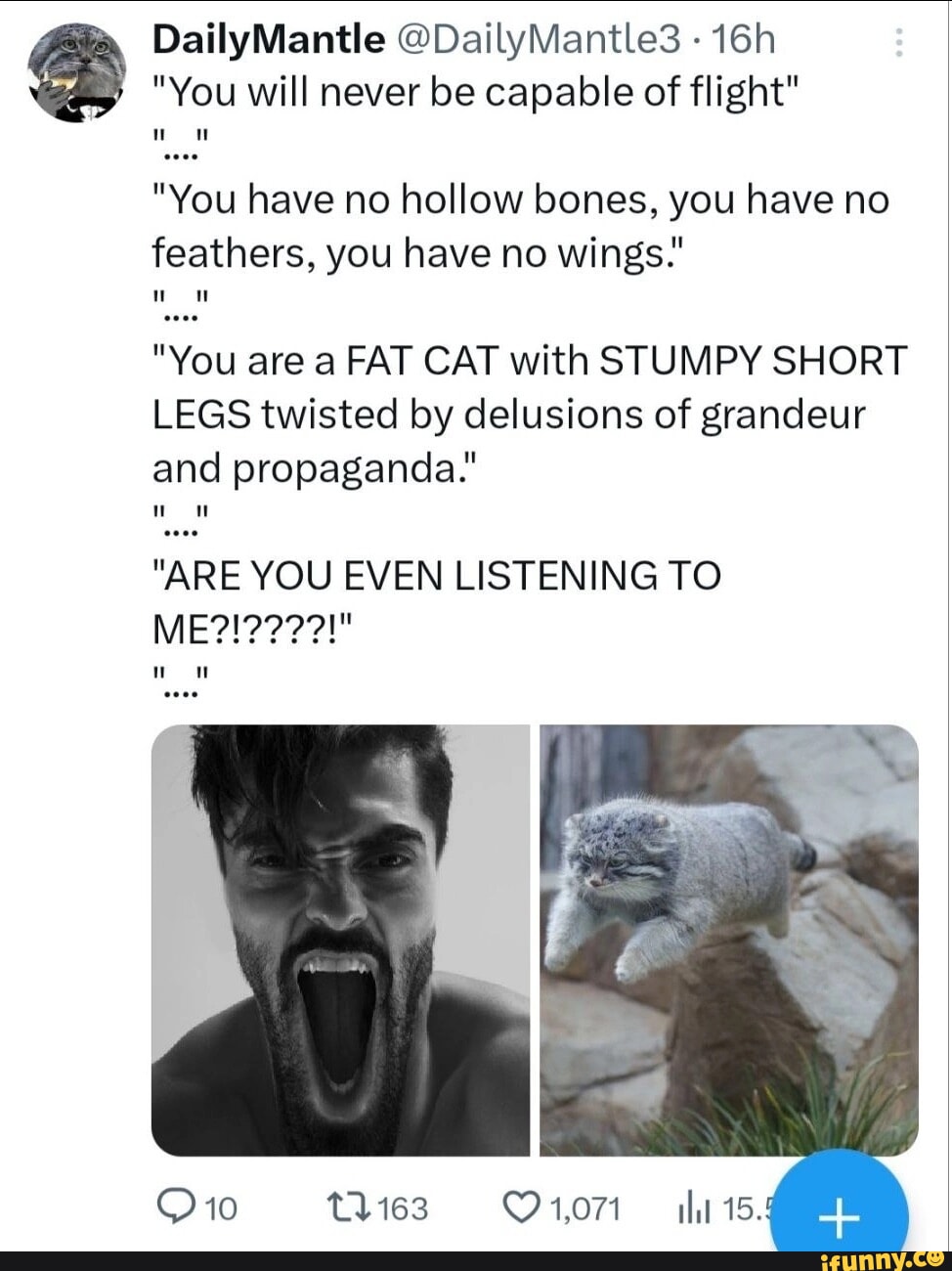 Stumpy memes. Best Collection of funny Stumpy pictures on iFunny