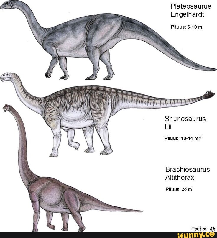 Plateosaurus memes. Best Collection of funny Plateosaurus pictures on ...