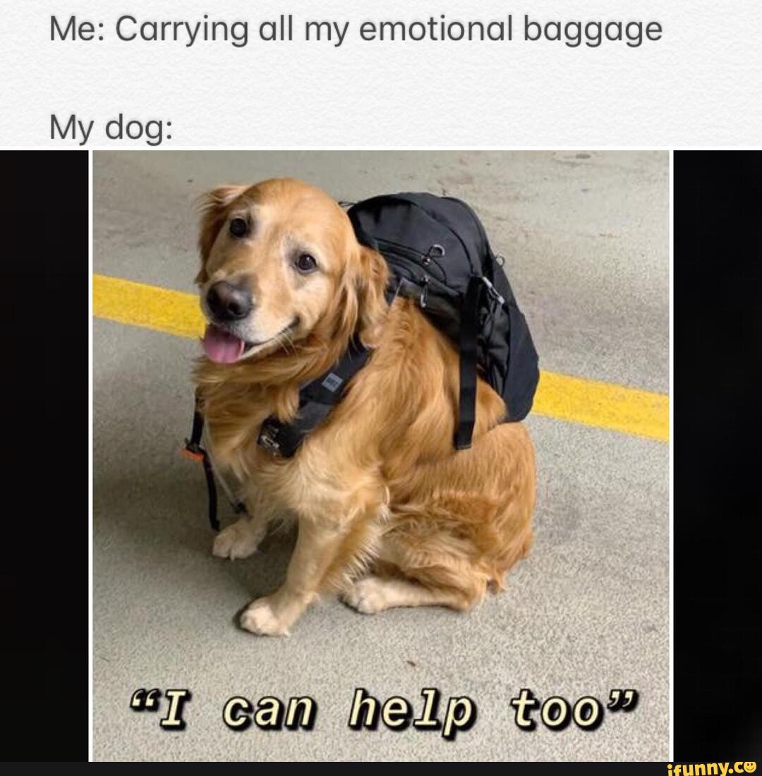 Baggage memes. Best Collection of funny Baggage pictures on iFunny