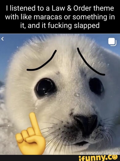 Seals memes. Best Collection of funny Seals pictures on iFunny