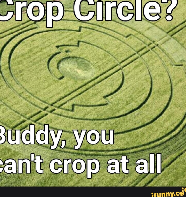 ~fop Uircie? 3uddy, you 'an't crop at all - iFunny