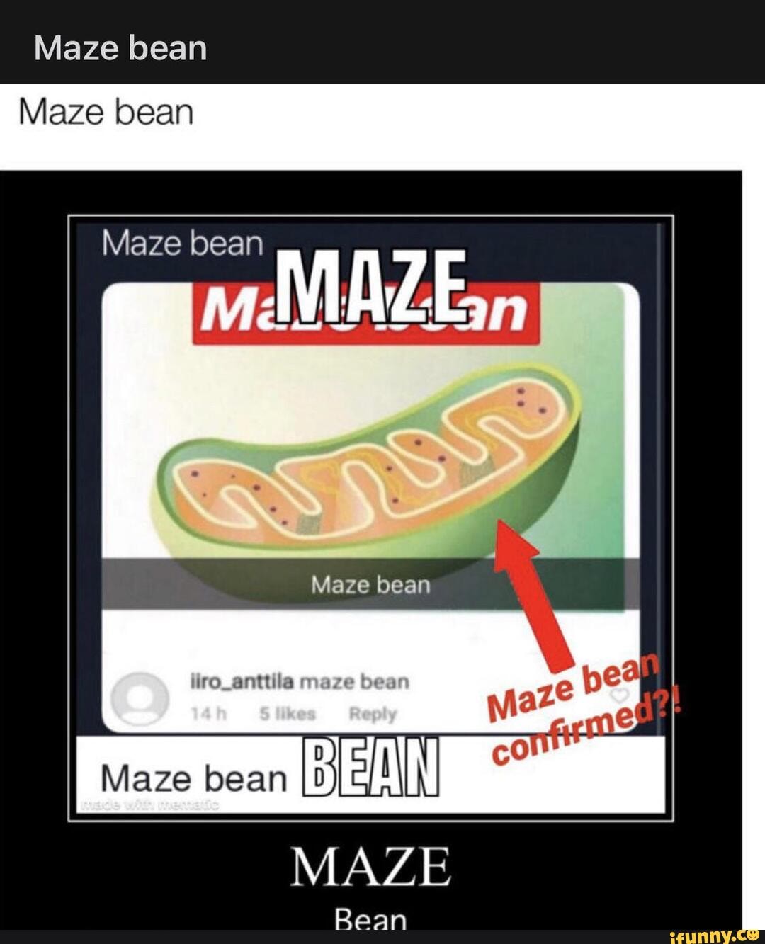Maze bean Maze bean Maze bean Az. Maze bean liro_anttila maze bean me Maze bean MAZE - iFunny