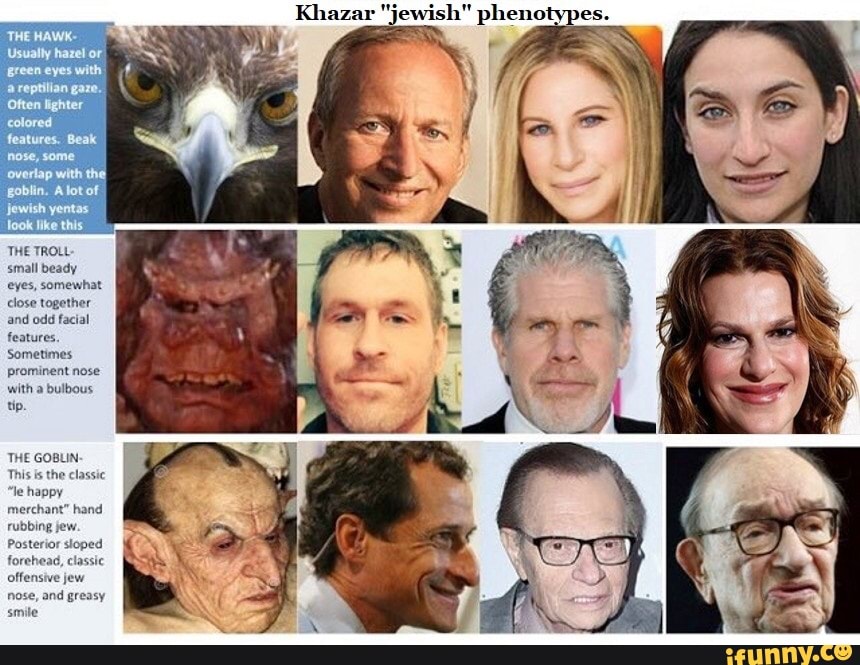 Khazar "jewish" phenotypes. THE HAWK- Usually hazel or green eyes with ...