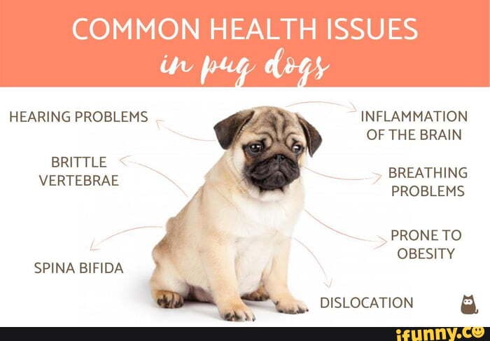 Dislocation memes. Best Collection of funny Dislocation pictures on iFunny