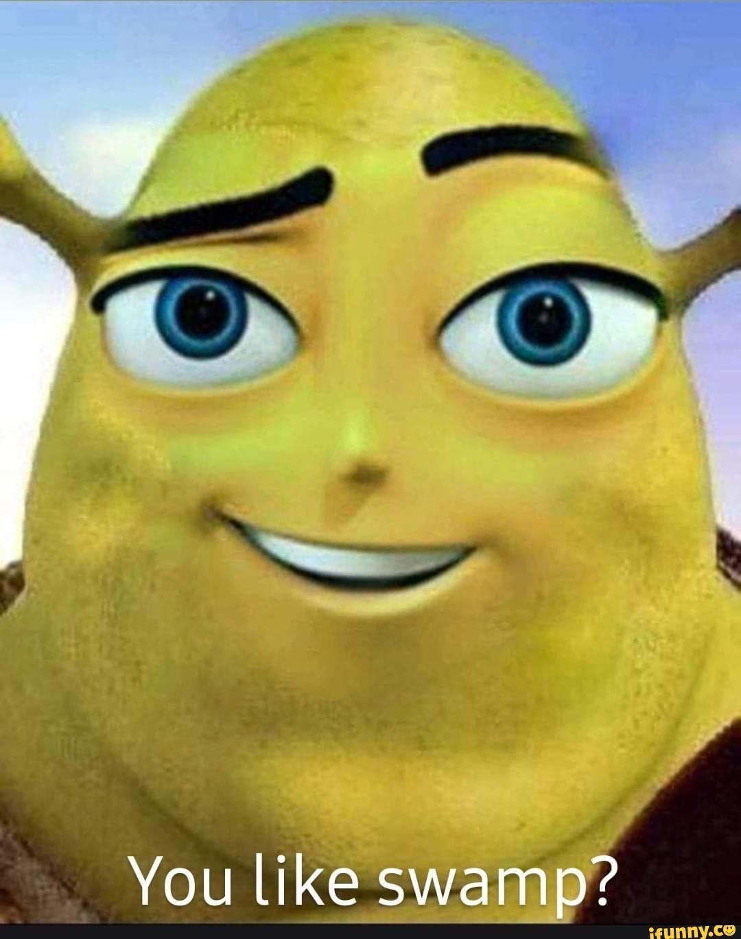 #memes #dank_memes #shrek #barry_benson #funny - You like swamp? - iFunny