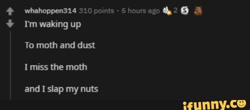 Slapmynuts memes. Best Collection of funny Slapmynuts pictures on iFunny