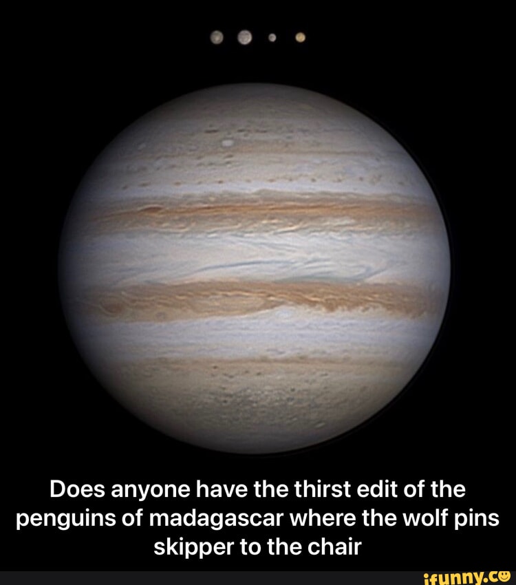 Skipper memes. Best Collection of funny Skipper pictures on iFunny
