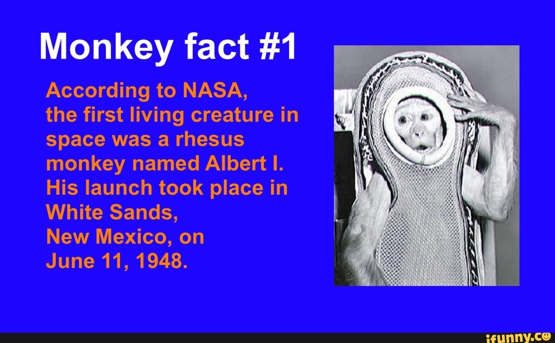 Monkey fact #1 According to NASA, the first living creature in space ...